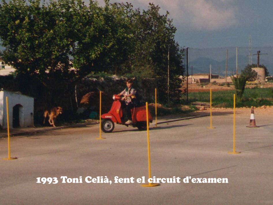 Autoescola Celià – Aquí on comença el teu camí
